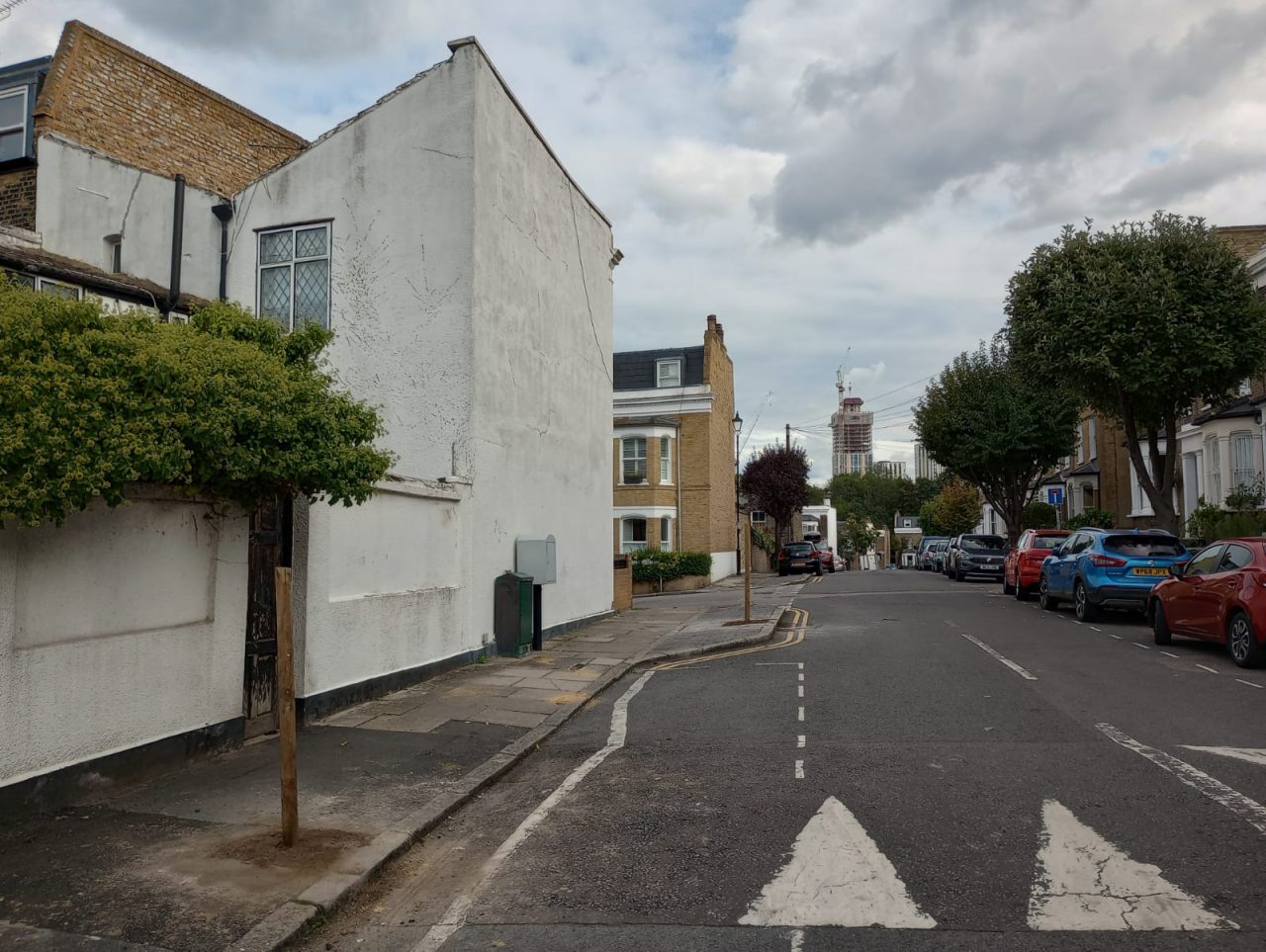 Three New Trees for Albyn Road - The St Johns Society