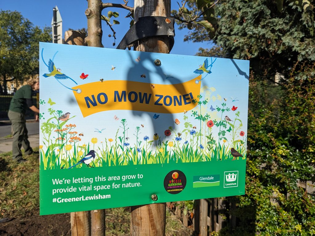 Giving the ‘No Mow Zones’ a helping hand - The St Johns Society