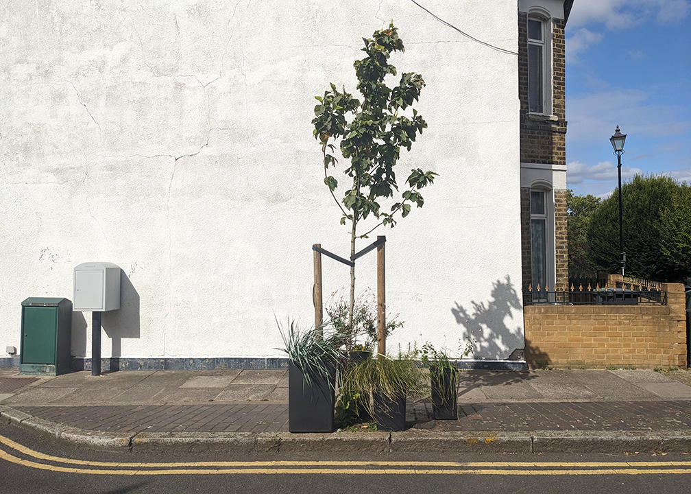 Your 2024 Year to Date SJS Update - The St Johns Society