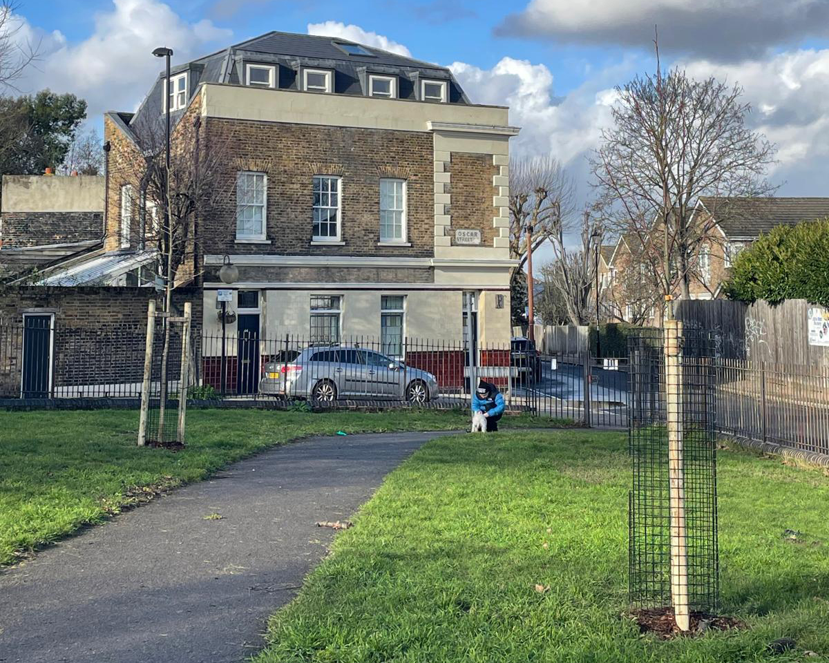 New Trees Take Root in Friendly Gardens - The St Johns Society